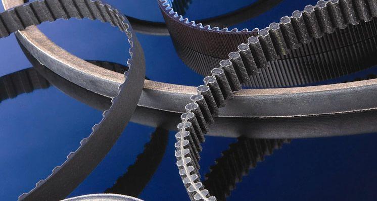 Correia com borda sanfonada